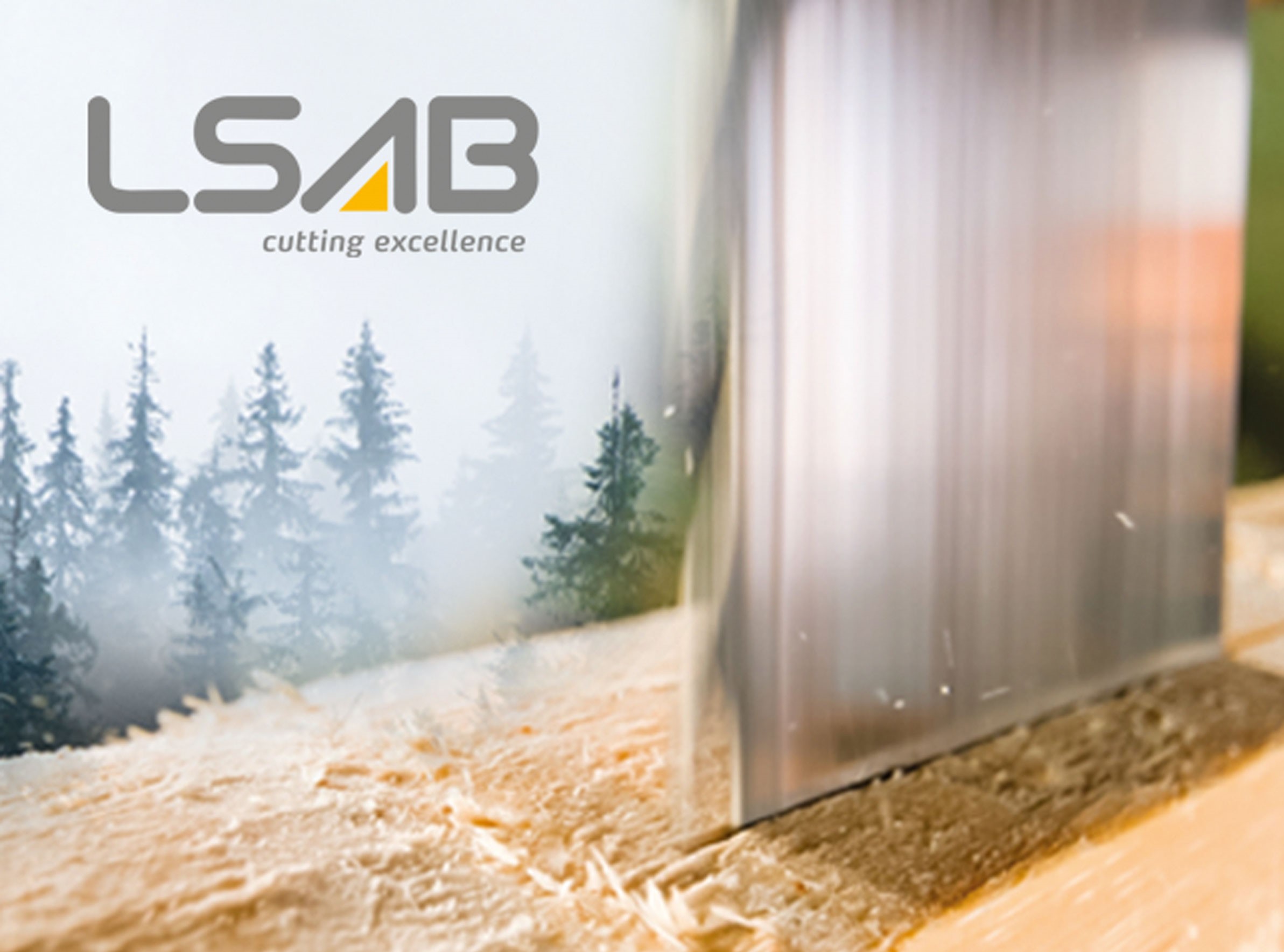 We are recruiting a Head of Sales - Woodworking - LSAB Sverige